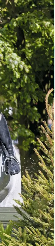 LOTTIE PRENTICE GOLDSTONE - PressReader