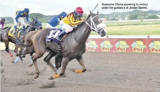 Race review — Sunday, October 30, 2022 - PressReader