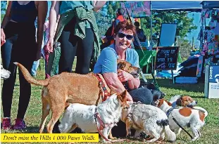 DON’T MISS THE HILL’S 1000 PAWS WALK - PressReader