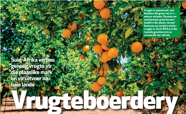 Die verbouing van vrugte - PressReader