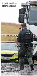 MAN BURNED & DOG KILLED IN ARSON ATTACK | Irish Daily Mirror | PressReade­r