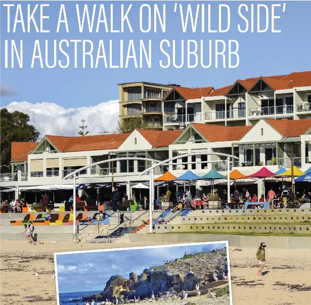 TAKE A WALK ON ‘WILD SIDE’ IN AUSTRALIAN SUBURB - PressReader