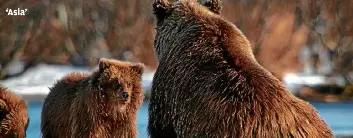 January 25, 2025 Kobe: The Making of a Legend - PressReader