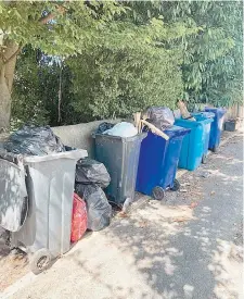 Fly-tipping and full bins blight street - PressReader