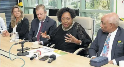 Grange, Paralympic associatio­ns want sporting facilities to be more ...