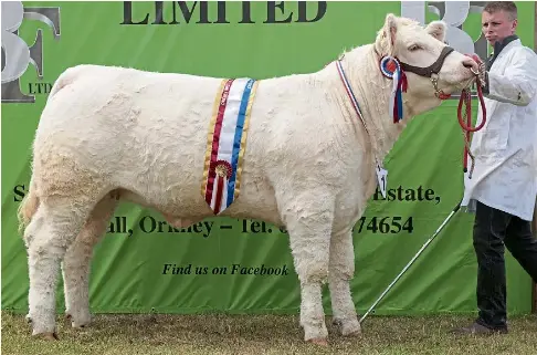 Dounby Unique makes it a hat-trick for Spence family - PressReader