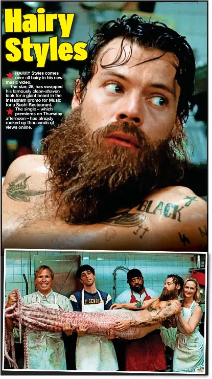 Hairy Styles - PressReader