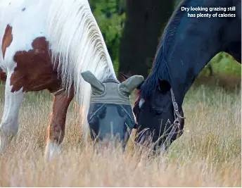 Feeling the heat - PressReader