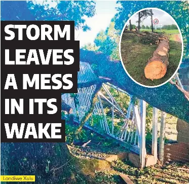 STORM LEAVES A MESS IN ITS WAKE - PressReader