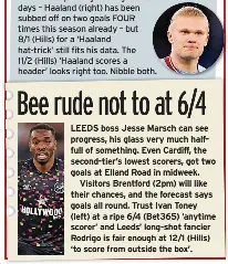 Bee rude not to at 6/4 - PressReader