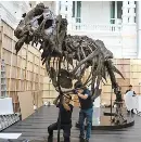 Adult T-rex skeleton on show in Singapore - PressReader