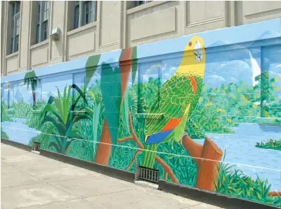 Artist’s Chicago murals captured the beauty of Puerto Rico - PressReader