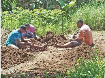 Vula i Vavakada - Via Veidonui kei na Seviteba - PressReader