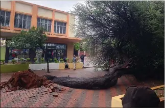 Ko Setlhareng long died before the cold fall - PressReader