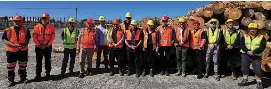 OUR PEOPLE IN FORESTRY – Collaborat­ion in Forestry for the Waingawa ...