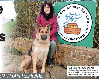 Animal rescue shelter has empty kennels leading up to Christmas ...