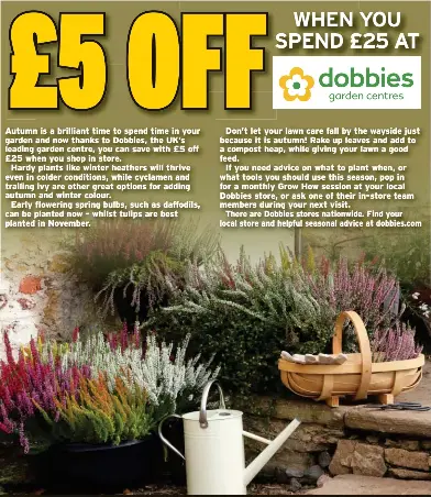 Telly brain doc is living the dream - PressReader