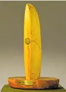 Crowe-Thorpe Trophy revealed - PressReader