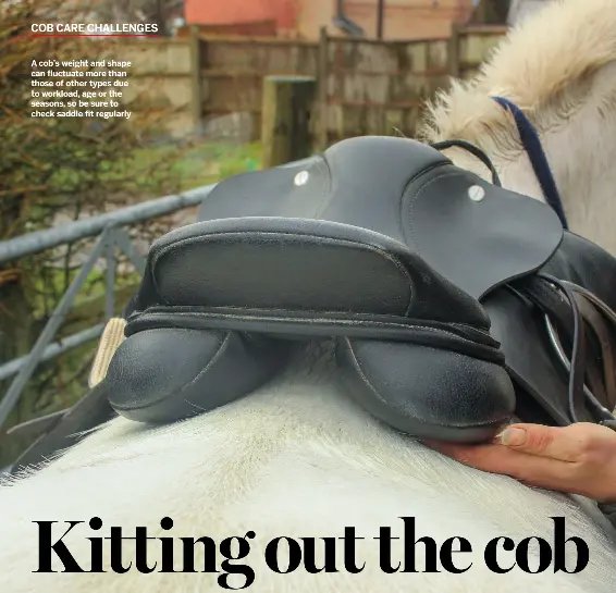 Kitting out the cob - PressReader