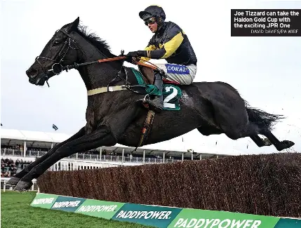 JPR is the One to lift Haldon Gold Cup honours at Exeter - PressReader