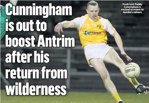 Winning streak guarantees my Galbally nothing, warns Moylan - PressReader