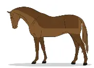 CHASER CLIP - PressReader