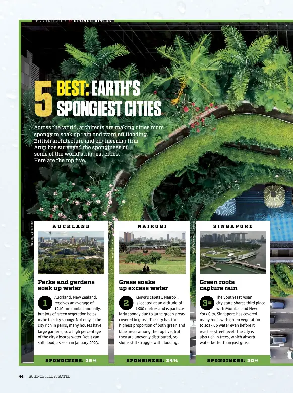 5 BEST: EARTH’S SPONGIEST CITIES - PressReader