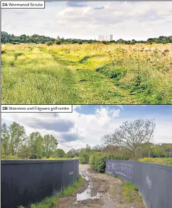 The beginning of the end for Britain’s green belts - PressReader