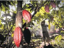 EN DETALLE - PressReader