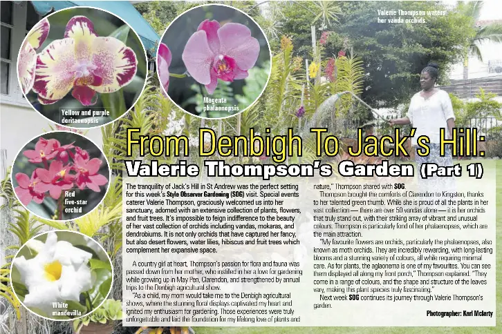 From Denbigh To Jack’s Hill: - PressReader