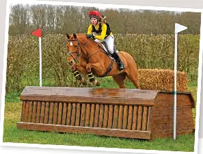 ONLINE DRESSAGE HELPS MARSON WIN PONY TRIAL - PressReader