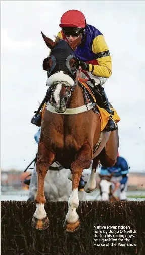 Native River shows his class in Horse of the Year qualifier - PressReader