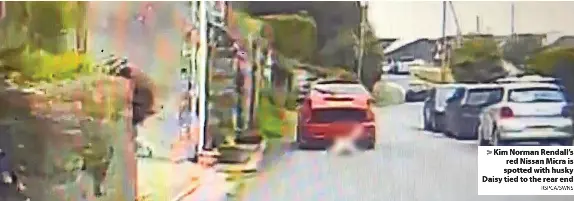 Outrage as farmer drives with his dog tied to car - PressReader