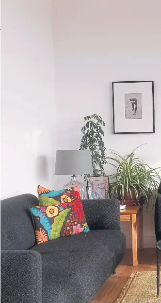 Extra flight of fancy - PressReader