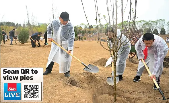 Xi Plants Trees, Urging More Efforts for Green Developmen­t - PressReader