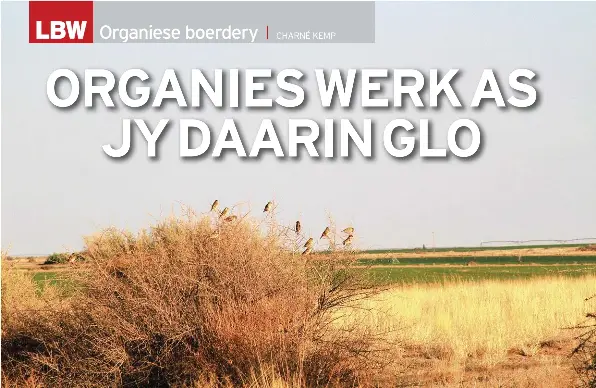 Organies werk dán: ’Moenieinra­nden sent vaskyk’ - PressReader