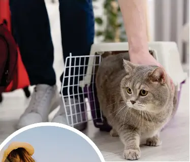 IN VIAGGIO CON IL MICIO | Gatto Magazine | PressReade­r