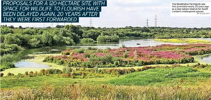 Plans for new wetland nature reserve are put on hold again - PressReader