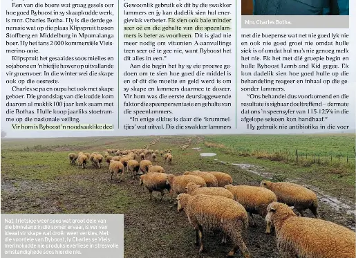 Byboost maak van enige kudde ’n toptrop – - PressReader