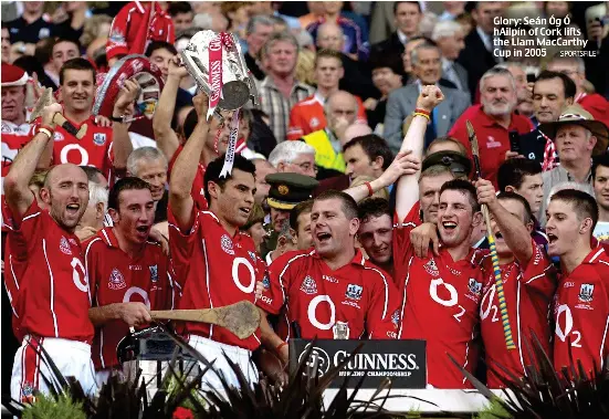 Our hurling Championsh­ip... Where we all belong - PressReader