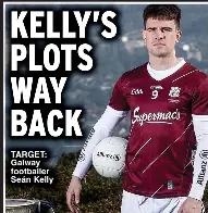 KELLY’S PLOTS WAY BACK - PressReader