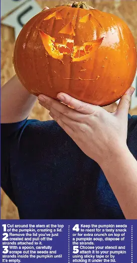 Smashing pumpkins for all - PressReader