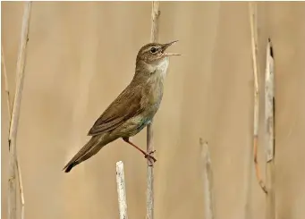 Basic Principles - PressReader