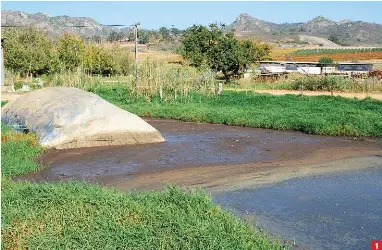 Mini-biogasaanl­eg vir klein melkplaas - PressReader