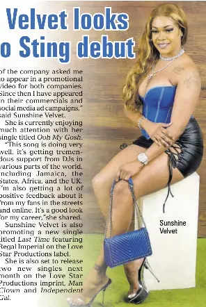 Sunshine Velvet looks forward to Sting debut - PressReader