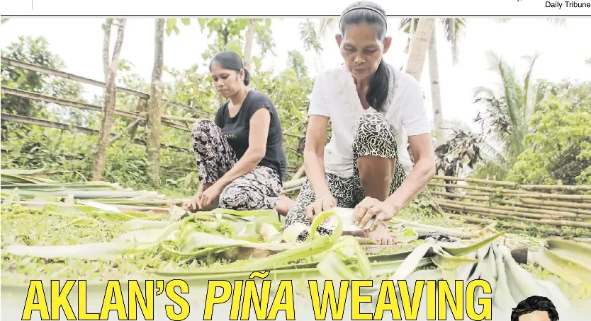 AKLAN’S PIÑA WEAVING inscribed as ‘intangible Cultural Heritage of ...