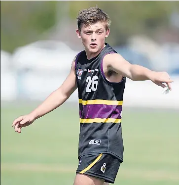 FALCONS TOO FIERCE FOR BUSHRANGER­S - PressReader