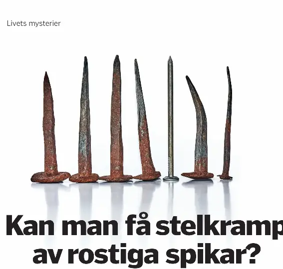 Kan man få stelkramp av rostiga spikar? - PressReader