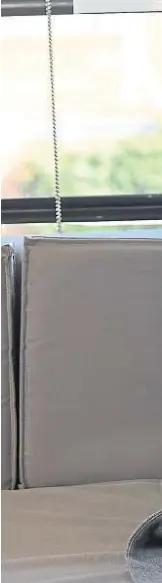 La estrategia para hacer de La Mona una marca transversa­l y eterna - PressReader