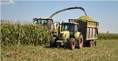 Animal nutrition: modern silage production yields better quality feed ...